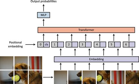 fig 4 [the vision transformer architecture vit ] machine learning for brain disorders