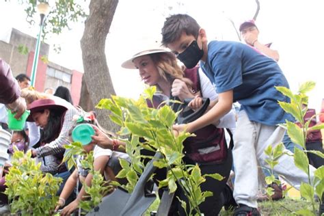 MEJORAMIENTO DE ÁREAS VERDES UNA PRIORIDMEJORAMIENTO DE ÁREAS VERDES