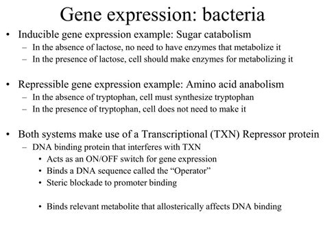 PPT Regulation Of Gene Expression PowerPoint Presentation Free
