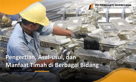 Peta Persebaran Barang Tambang Di Indonesia PT Tribhakti Inspektama