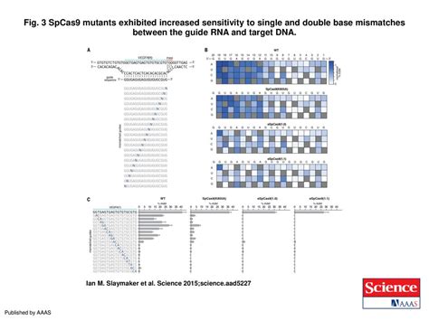 rationally engineered cas9 nucleases with improved specificity ppt download