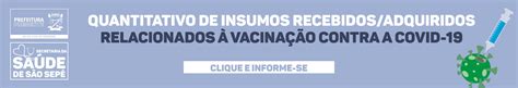 Enfrentamento Ao Coronav Rus Saosepe Rs Gov Br