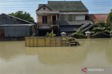 BNPB Perbaikan Tanggul TMC Kebutuhan Mendesak Atasi Banjir Demak