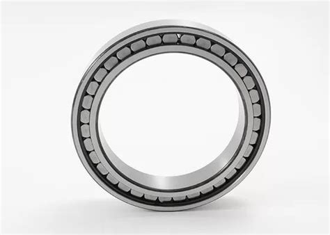 Sl Single Row Cylindrical Roller Bearing Full Complement Straight