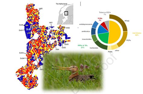 Global Flyway Network On Twitter Total Contaminant Load In Livers