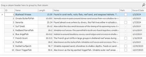 appearance and conditional formatting winforms controls devexpress documentation