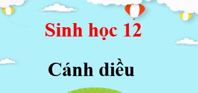 Sinh 12 Cánh diều Bài 3 Điều hòa biểu hiện gene Giải Sinh học 12