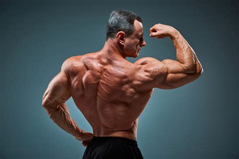 Bodybuilder Images Browse Stock Photos Vectors And Video