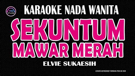 Sekuntum Mawar Merah Karaoke Nada Wanita Elvie Sukaesih Youtube
