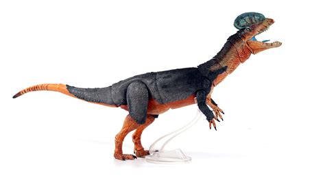 Dilophosaurus Wetherilli Th Scale Action Figure Welcome To