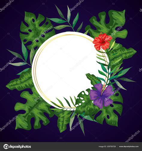 Frame Circular With Flowers And Leafs Nature Stock Vector Image By