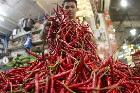 Harga Cabai Sepi Turun Akibat Sepi Pembeli Pedagang Di Ciamis Pilih