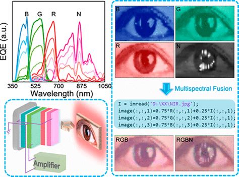 monolithic rgb nir perovskite photodetector for fused multispectral sensing and imaging the