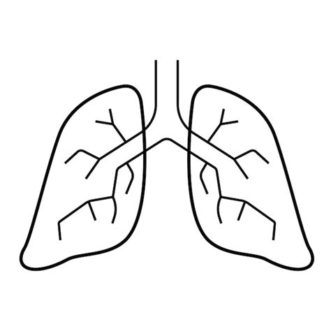 Vector De Icono De Pulmones Vector Premium
