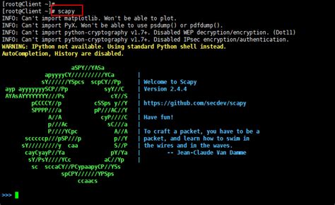 python scapy 报文构造和解析 测试开发小记 博客园
