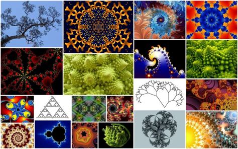 Fractales Significado Origen Y Toda La Informaci N