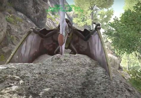 Ark Survival Evolved Quetzal How To Tame Role EXputer