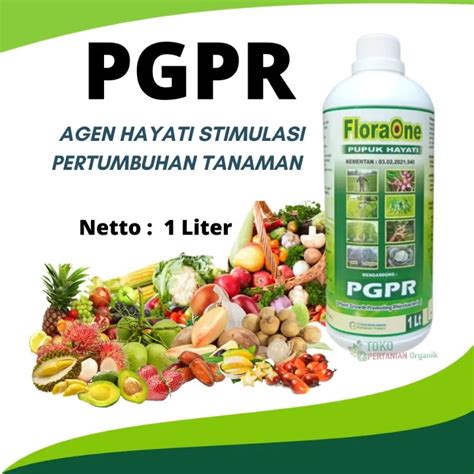PGPR Tanaman Pupuk Cair Trichoderma Fungisida Hayati Dekomposer