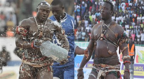 Lutte Le Combat Royal Entre Modou Lo Ama Bald Programm Novembre