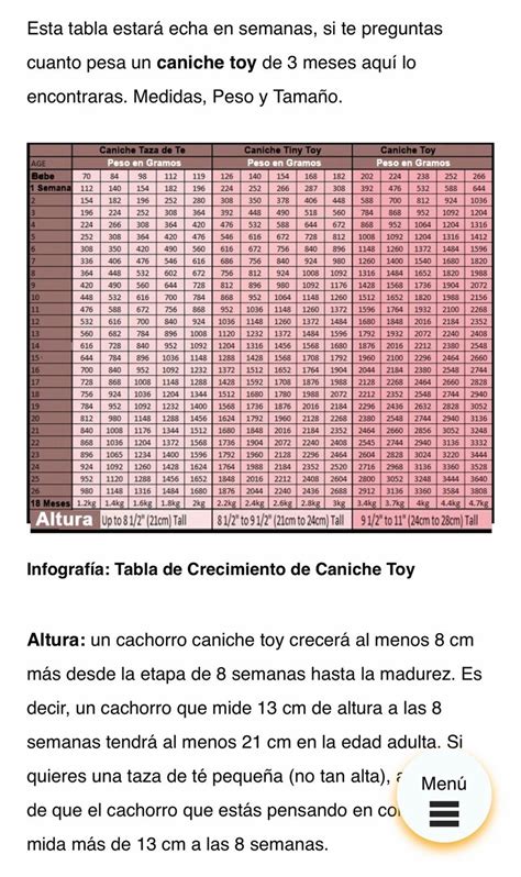 Caniche Toy Cuanto Mide Cuanto Pesa Africaysuscosas