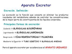Definición de Excreción Qué es Significado y Concepto