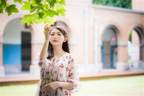 873914 4K Asian Foliage Hands Dress Brown Haired Rare Gallery