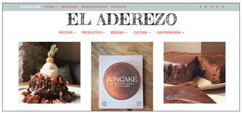 Qué es un Blog de Nicho o Temático Definición y Ejemplos