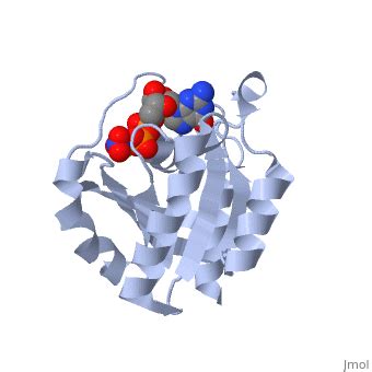 2e9s Proteopedia Life In 3D