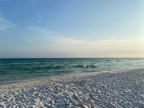 Beach Pelican Palm Premium Stays