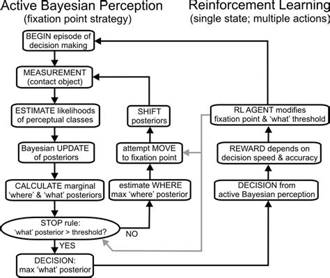algorithm for active bayesian perception with reinforcement learning download scientific