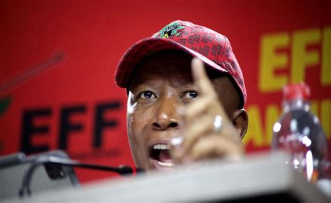 AfriForum Malema Clash In Supreme Court Of Appeal Over Controversial