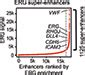 The Transcription Factor Erg Regulates Super Enhancers Associated With