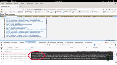 apache2 sap webgui und mod proxy it service bergisch gladbach