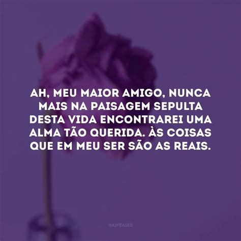 70 frases de morte que trarão conforto para seu coração