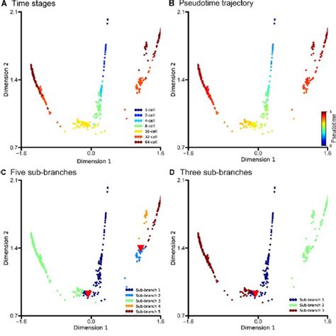 developmental trajectories inferred by dtflow for the mfg dataset a download scientific