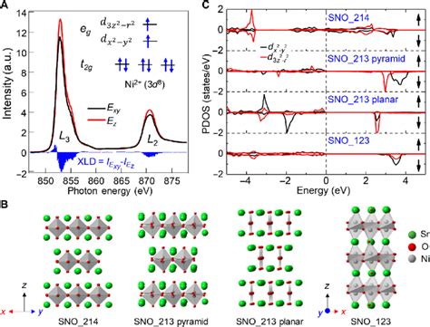 Orbital Polarization In SNO Films A Polarization Dependent XAS