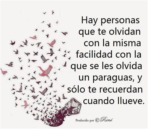 El Club De Los Libros Perdidos On Instagram DECLARO EL ESTADO DE