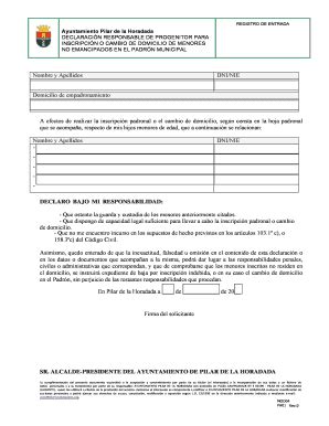 Fillable Online Pilardelahoradada Declaraci N Responsable Del