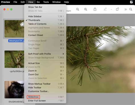 Best Guide On How To Make A Slideshow On Mac Without Iphoto