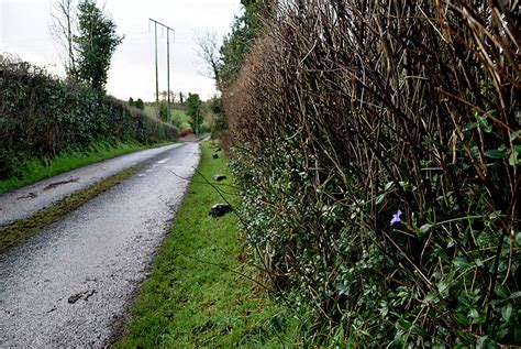 Camowen Road Donaghanie Kenneth Allen Geograph Britain And Ireland