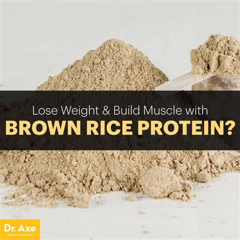 Brown Rice Protein Powder Benefits Nutrition And How To Use Dr Axe