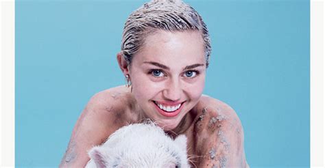 Miley Cyrus Poses Nude With Pet Pig For Paper Magazine Celebrity