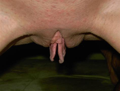 Huge Pussy Lips Pics XXXPicss