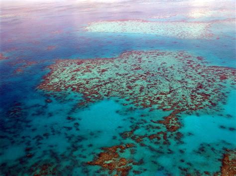 La Gran Barrera de Coral La piedra de Sísifo