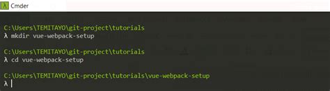 npm how to run webpack historypsado