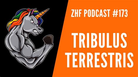 ZHF Podcast 173 Tribulus Terrestris Zvyšuje testosteron Vliv na