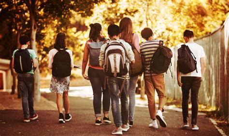 Conductas De Riesgo En Pre Adolescentes A A Os Y Adolescentes