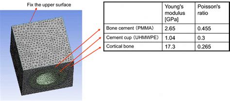 a representative model of the three dimensional finite element method download scientific