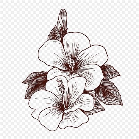 Desenho De Flor Linha PNG Desenho De Flor Desenho De Asa Clipart