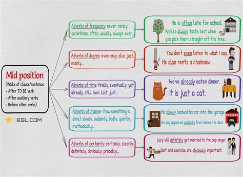 Position Of Adverbs Adverb Placement In Sentences Esl